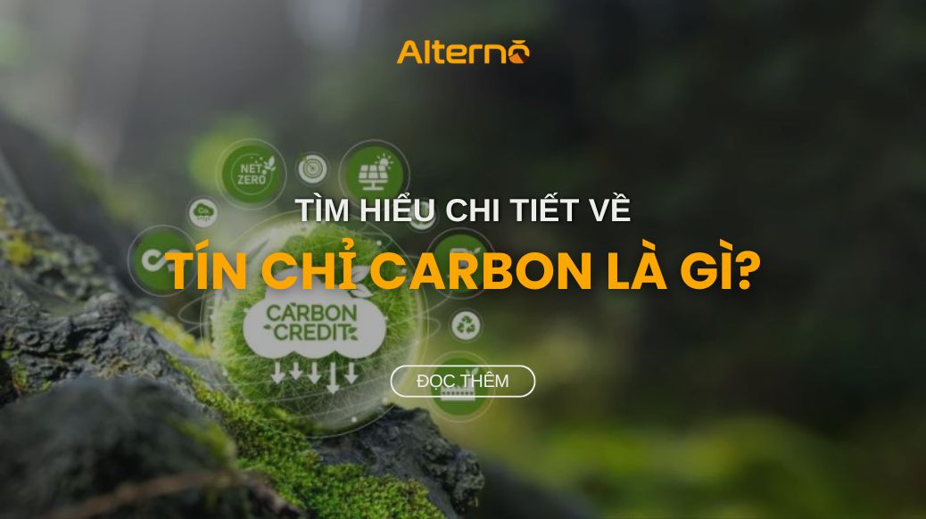 Tín chỉ carbon là gì? Cơ chế hoạt động và thị trường tín chỉ carbon