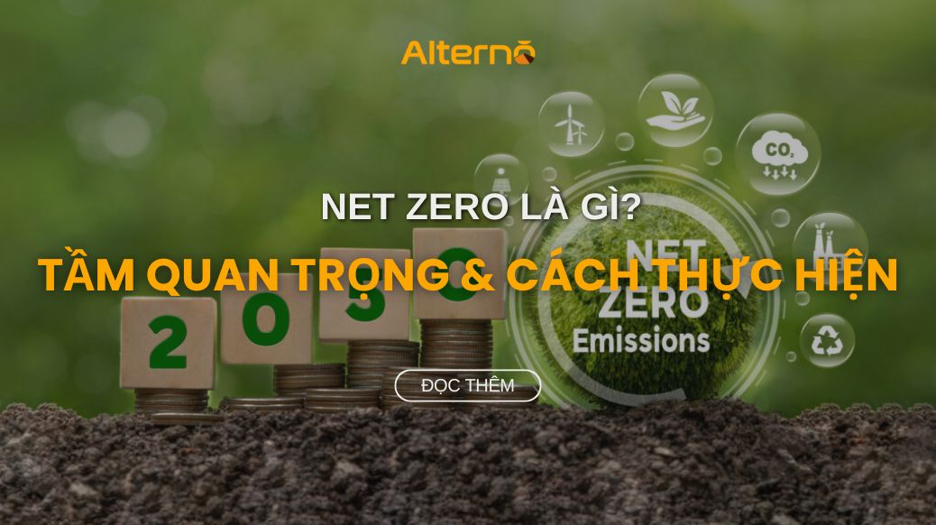 Net Zero là gì? Vai trò và cách đạt mục tiêu Net Zero